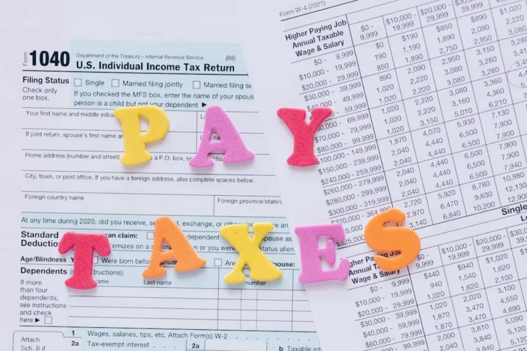 IRS Tax Return Estimated Timeline Chart 2025